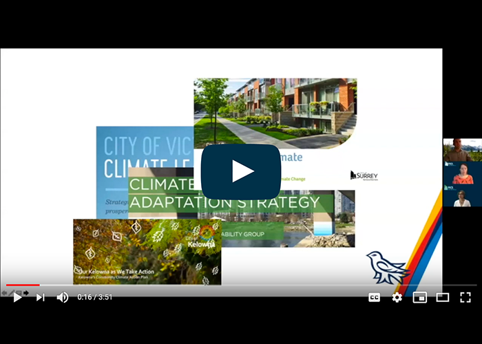 Delivering effective climate mitigation and adaptation solutions for ...