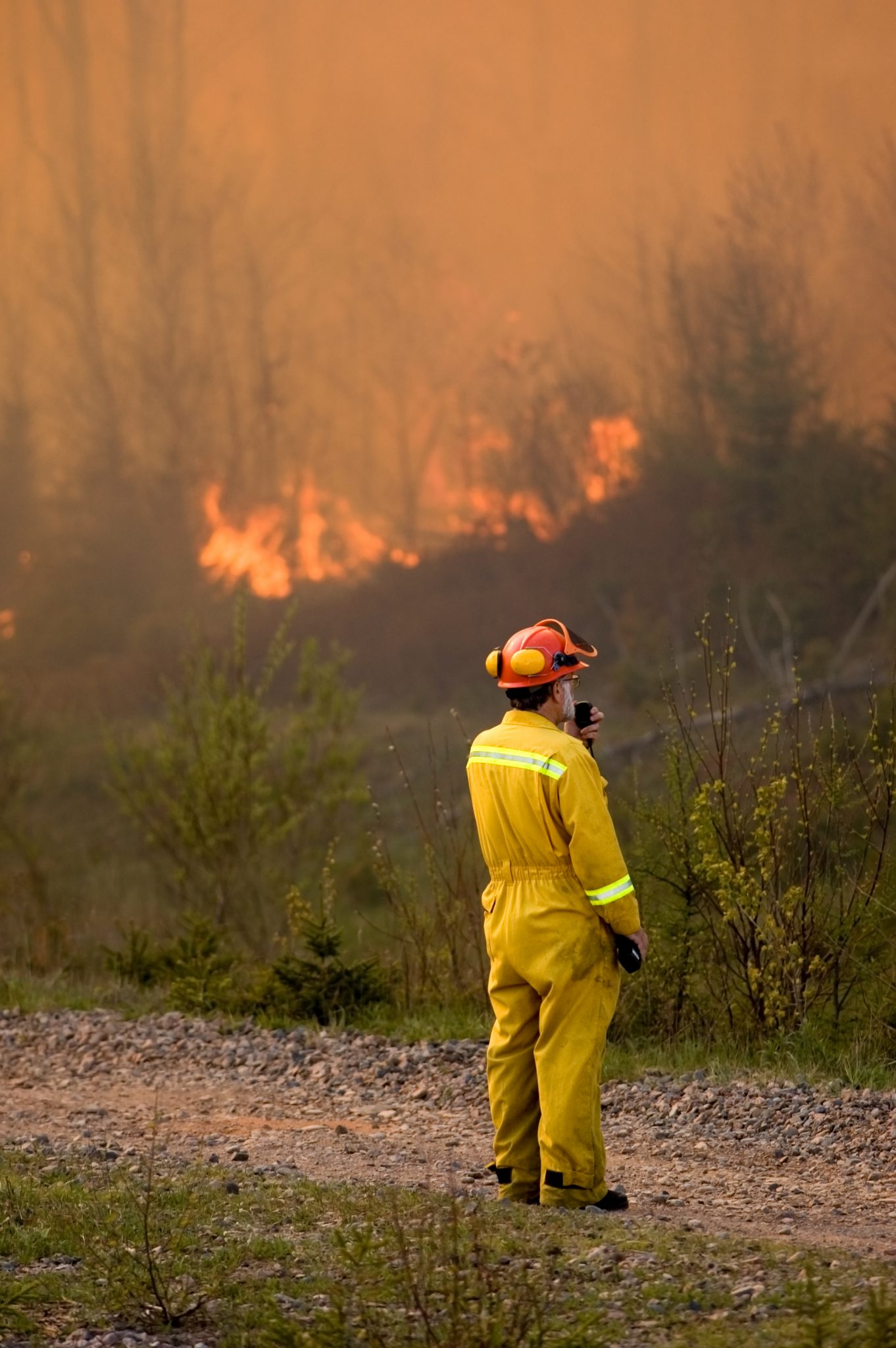 From ember to inferno: Wildfires in B.C. explained | Pacific Institute ...