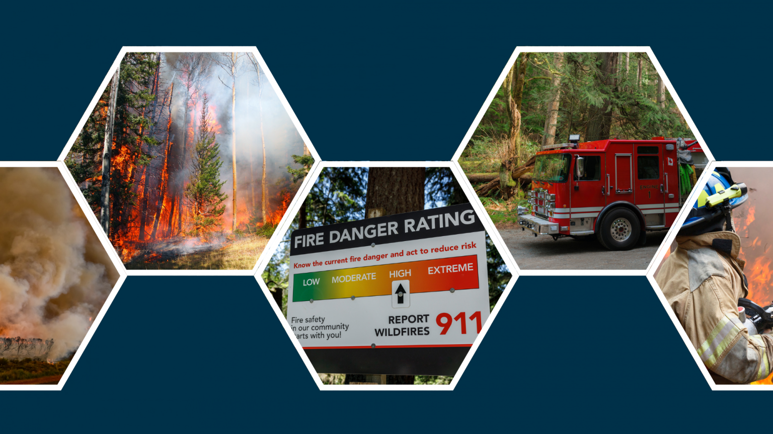 From ember to inferno: Wildfires in B.C. explained | Pacific Institute ...